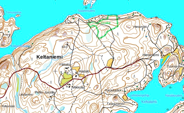 Keltaniemi ja pitsihuvila – JuuretOn